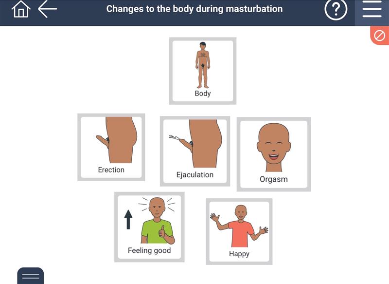 Changes to the body during masturbation | SECCA