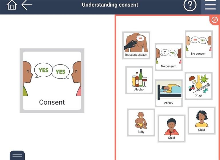 Understanding Consent | SECCA